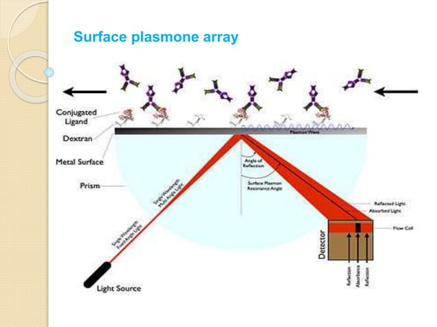 Protein array, protein chip by kk sahu sir | PPTX | Genetics | Science