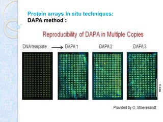 Protein array, protein chip by kk sahu sir | PPTX | Genetics | Science