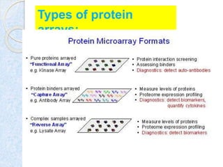 Protein array, protein chip by kk sahu sir | PPTX | Genetics | Science