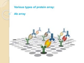 Protein array, protein chip by kk sahu sir | PPTX | Genetics | Science