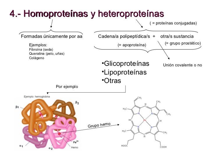 Proteínas