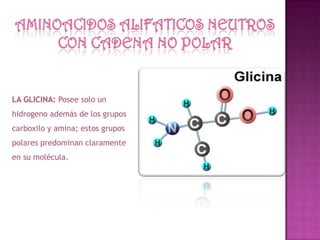 Proteinas y aminoacidos | PPTX