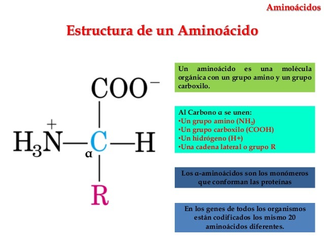 Aminoácidos Y Proteínas