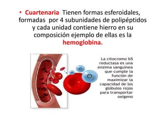 Proteinas | PPTX