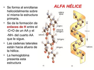 PROTEINAS y conformaciones de aminoacidos.ppt