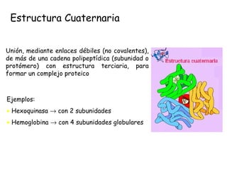 Proteinas bioquimica | PPT