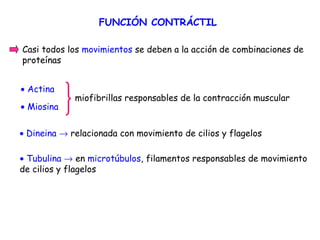 Proteinas bioquimica | PPT