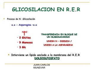 Biología molecular de la célula: Proteinas | PPT