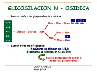 Biología molecular de la célula: Proteinas | PPT