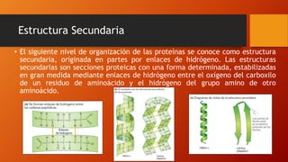 PROTEINAS 3M.pptx