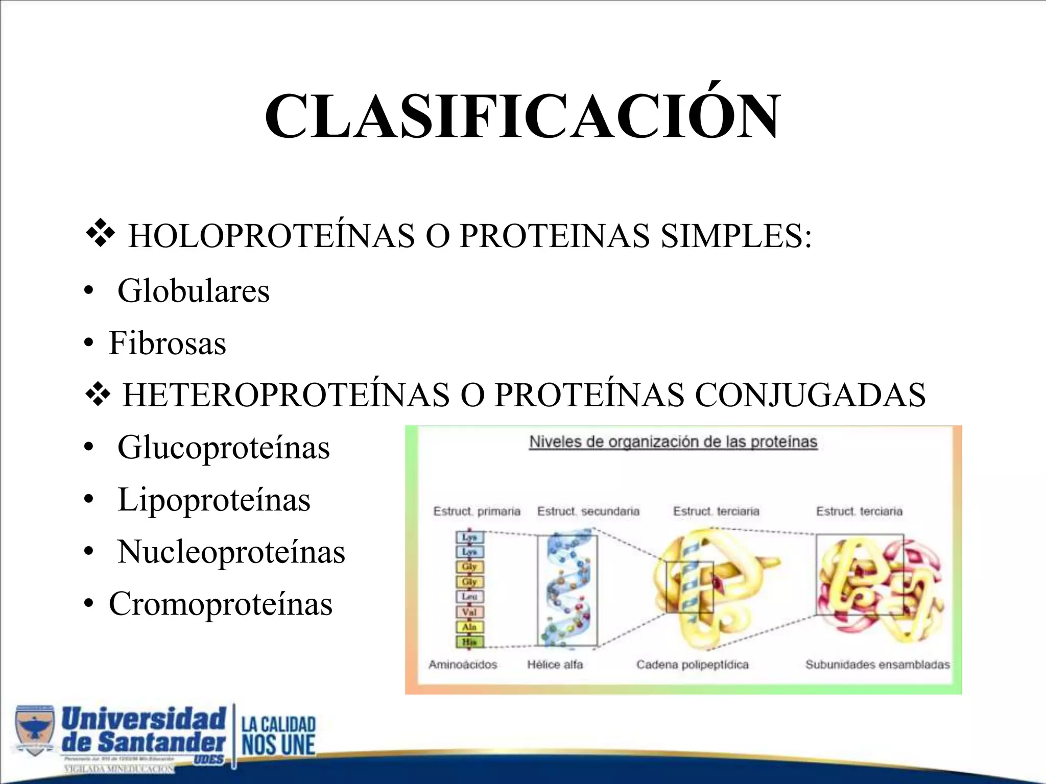 ¿Qué son las proteínas? | PPTX