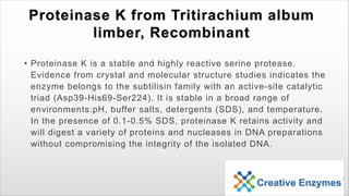 Proteinase k | PPT