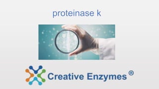 Proteinase k | PPT