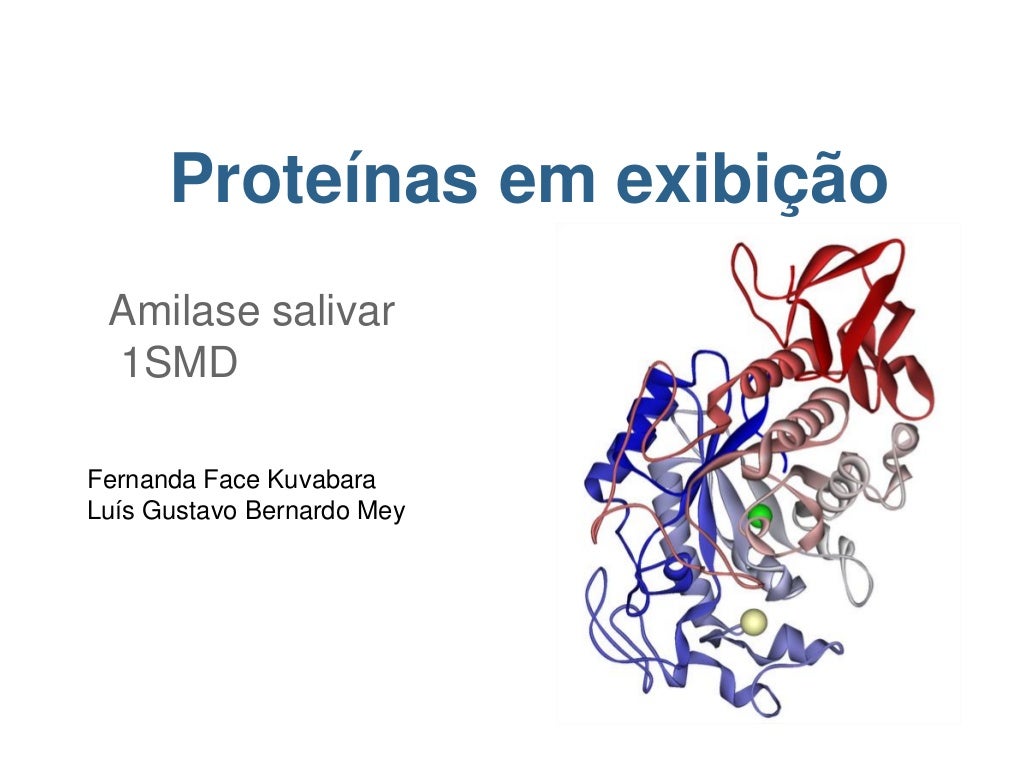 Qual A Função Da Amilase Salivar - LIBRAIN