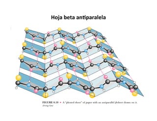 Proteínas estructura | PDF