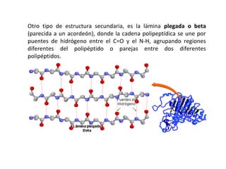 PROTEÍNAS. Generalidades (estructura, clasificación, aminoácidos ...