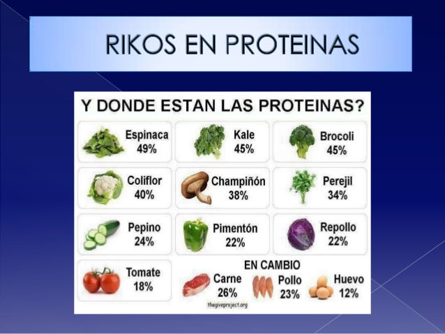 Proteinas o protidos