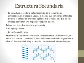 Proteinas, vitaminas, hormonas, enzimas, acido nucleico y ciclo de ...