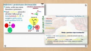 Proteinat | PPT