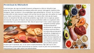 Proteinat | PPTX