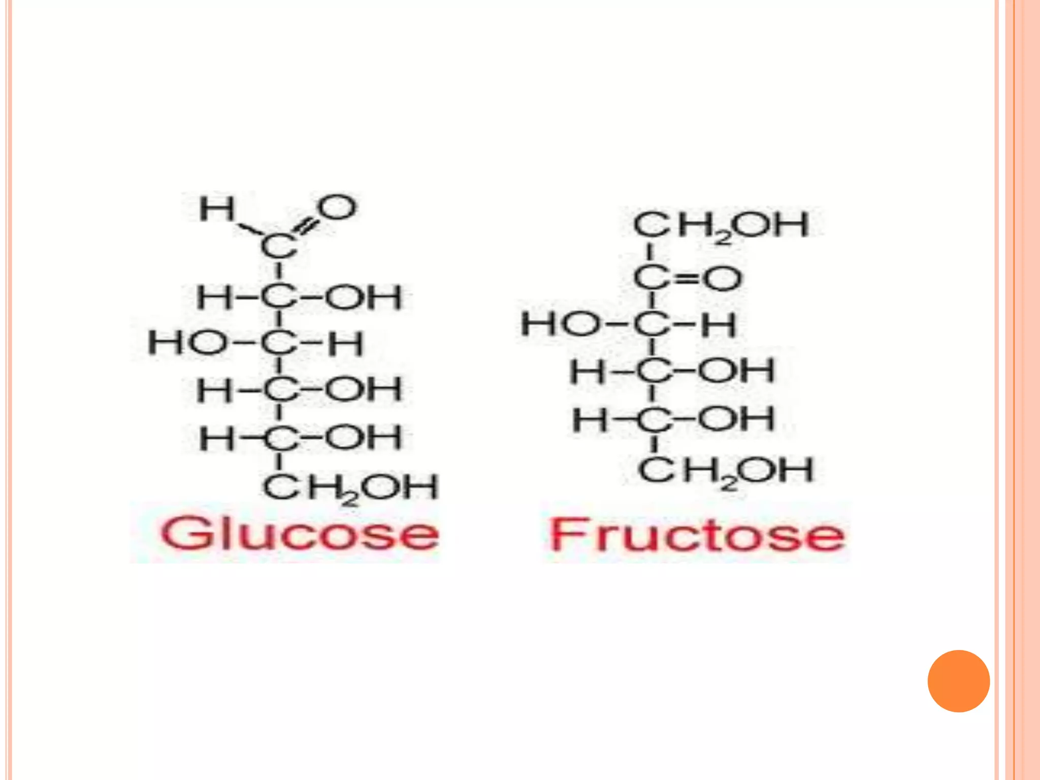 Proteinat yndyrnat dhe karbohidratet | PPTX