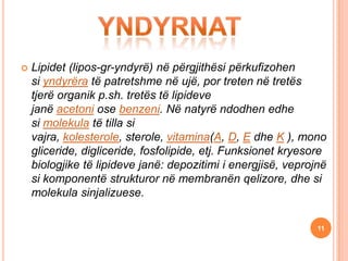 Proteinat yndyrnat dhe karbohidratet | PPTX