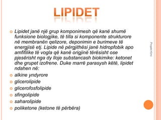 Proteinat yndyrnat dhe karbohidratet | PPTX