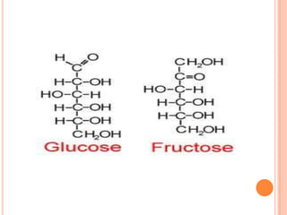Proteinat yndyrnat dhe karbohidratet | PPTX