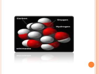 Proteinat yndyrnat dhe karbohidratet | PPTX