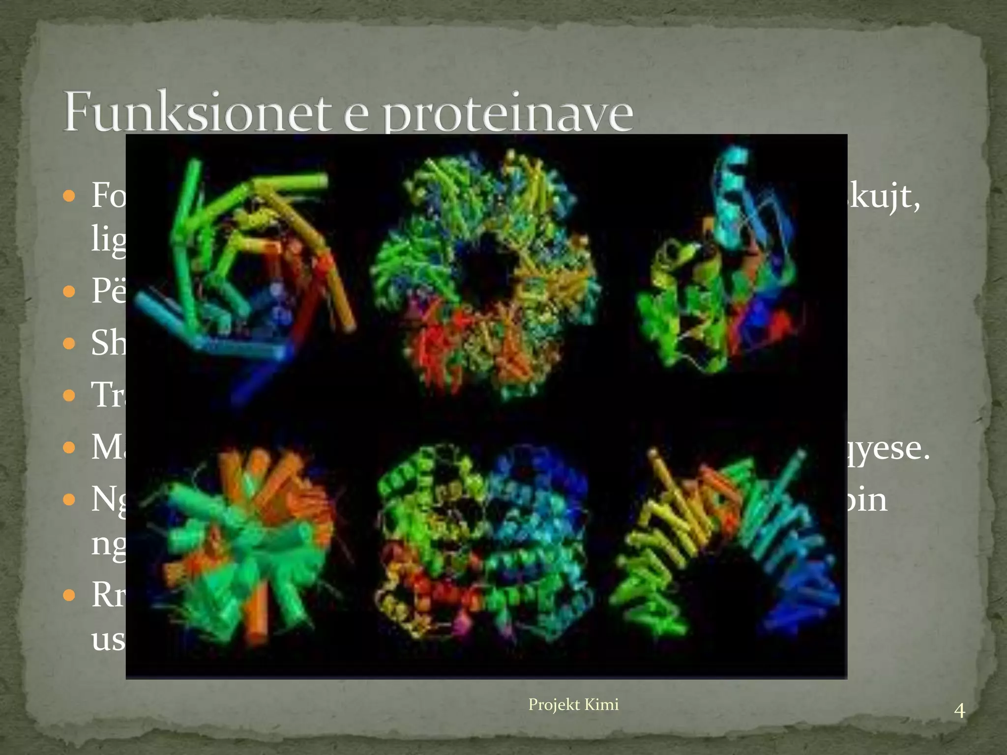 Proteinat, yndyrnat dhe karbohidratet | PPTX