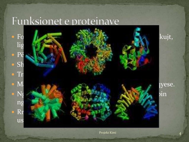 Proteinat, yndyrnat dhe karbohidratet | PPTX