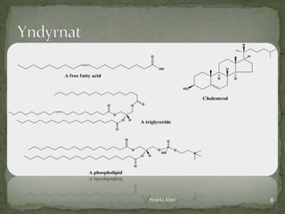 Proteinat, yndyrnat dhe karbohidratet | PPTX