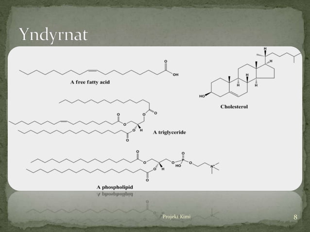 Proteinat, yndyrnat dhe karbohidratet | PPTX