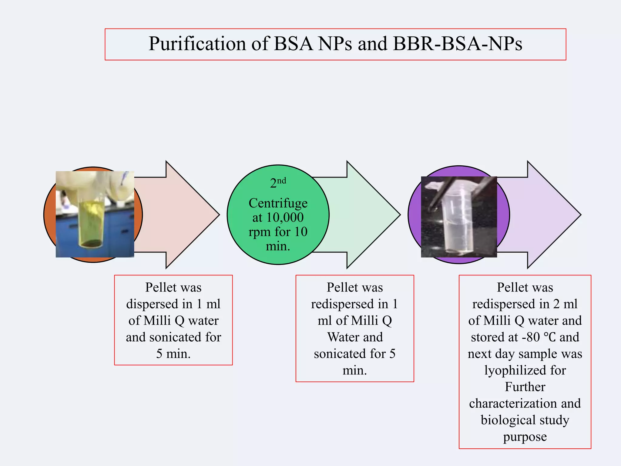 Protein based drug delivery system | PPTX