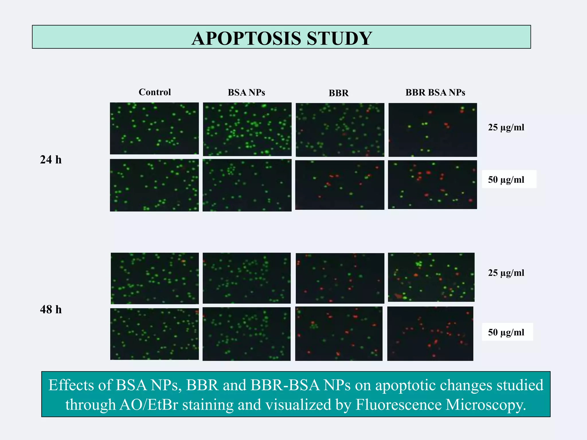 Protein based drug delivery system | PPTX