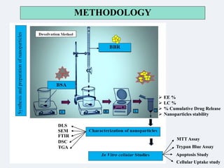 Protein based drug delivery system | PPTX