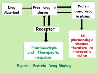 Protein binding of drugs | PPTX