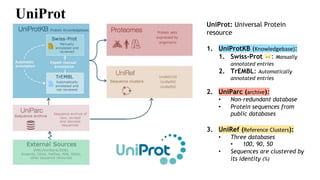 An Overview to Protein bioinformatics | PDF