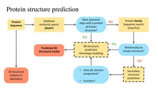 An Overview to Protein bioinformatics | PPT