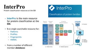 An Overview to Protein bioinformatics | PDF