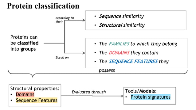 An Overview to Protein bioinformatics | PDF