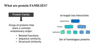 An Overview to Protein bioinformatics | PDF