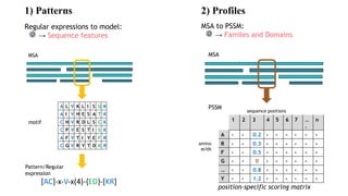 An Overview to Protein bioinformatics | PDF