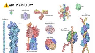 An Overview to Protein bioinformatics | PPT