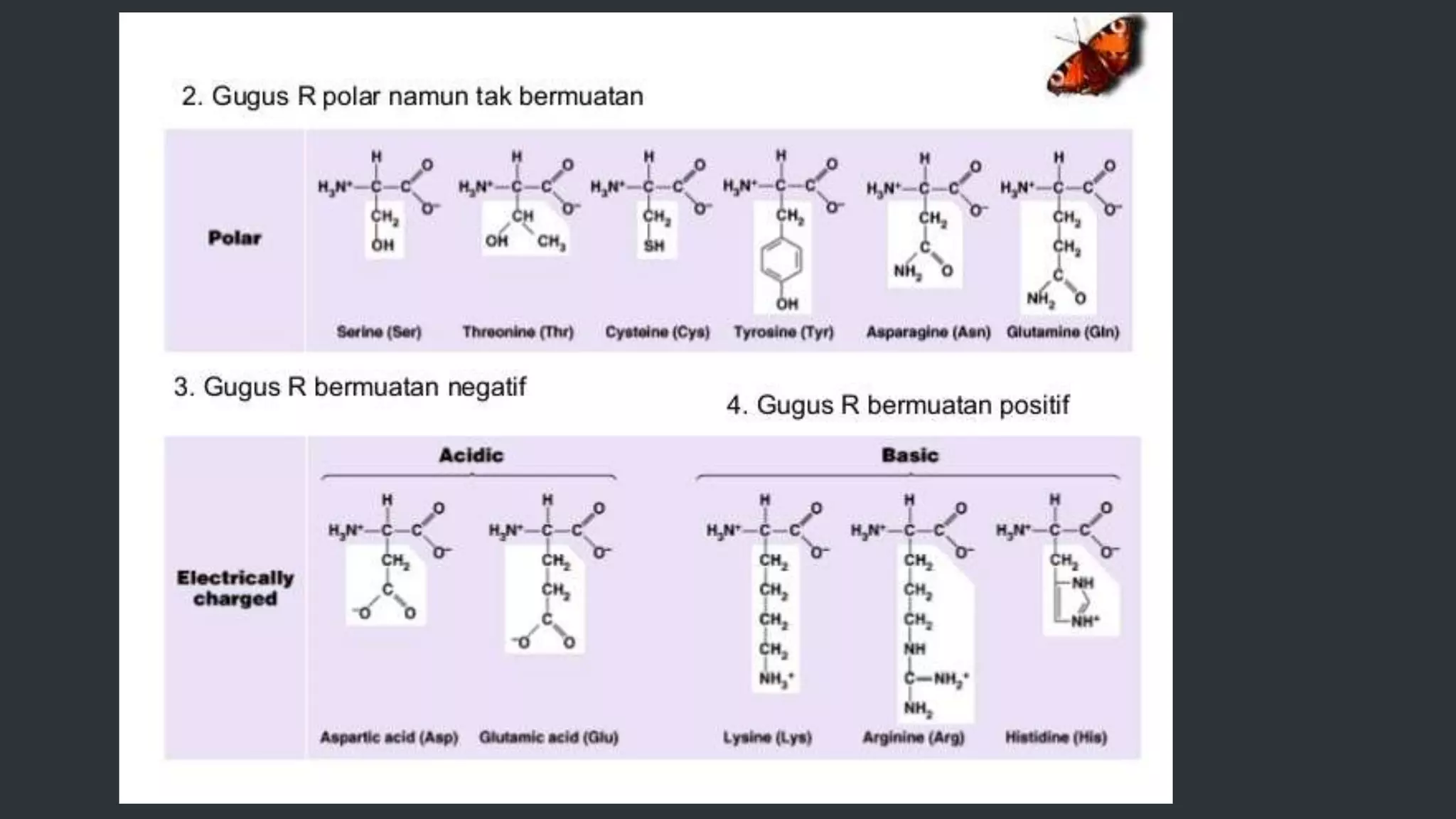 Protein biokimia | PPTX