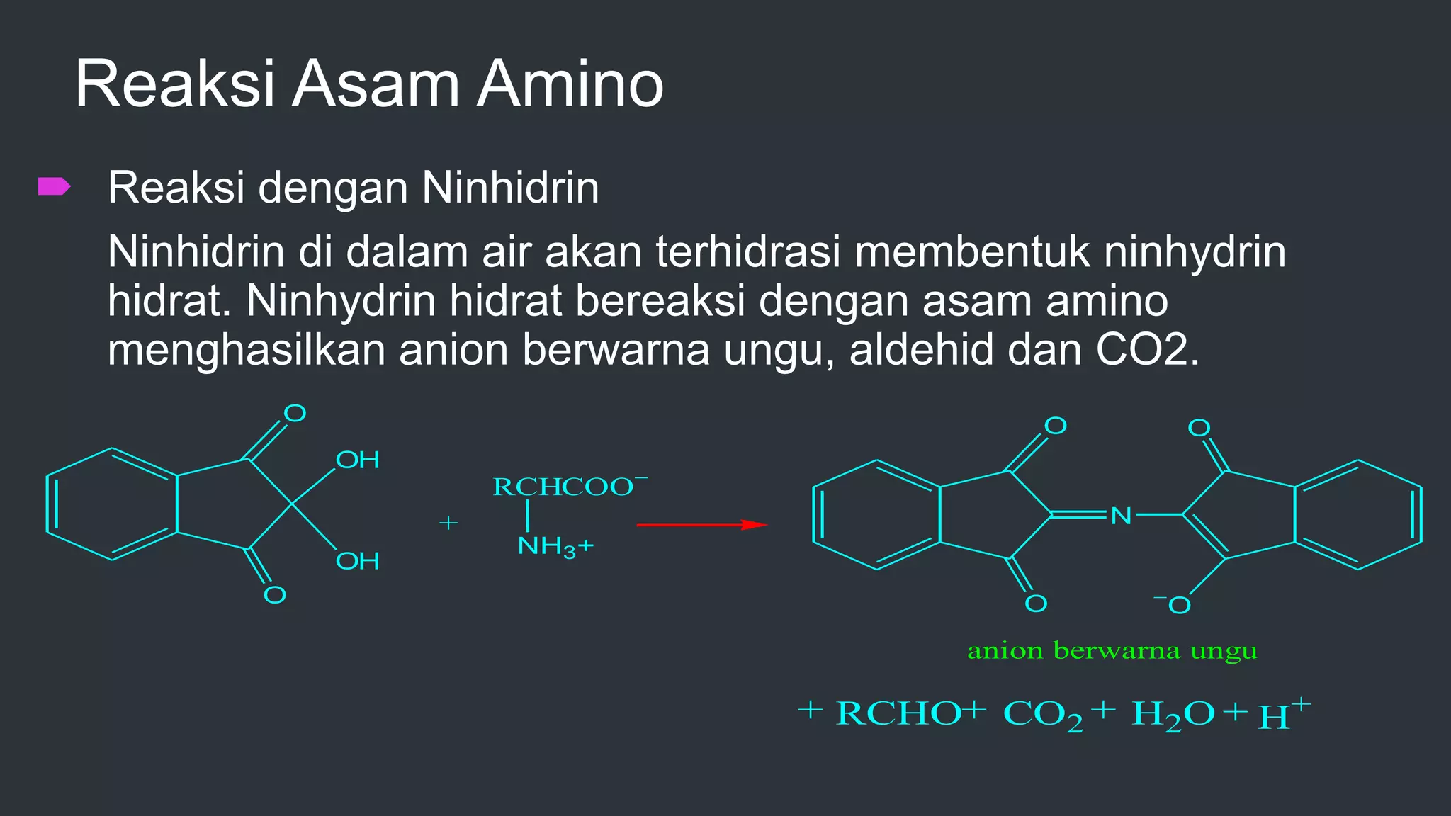Protein biokimia | PPTX