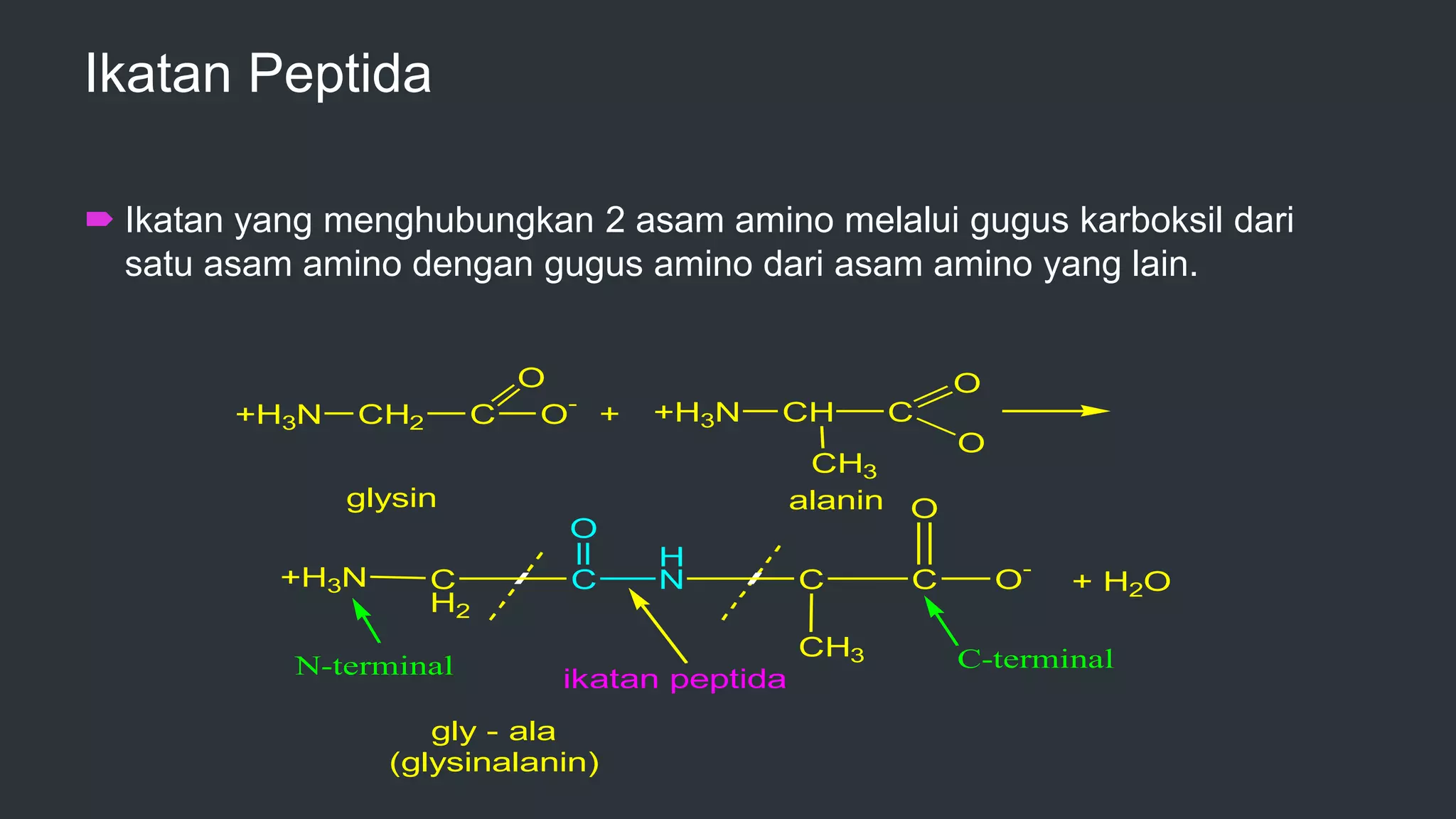 Protein biokimia | PPTX