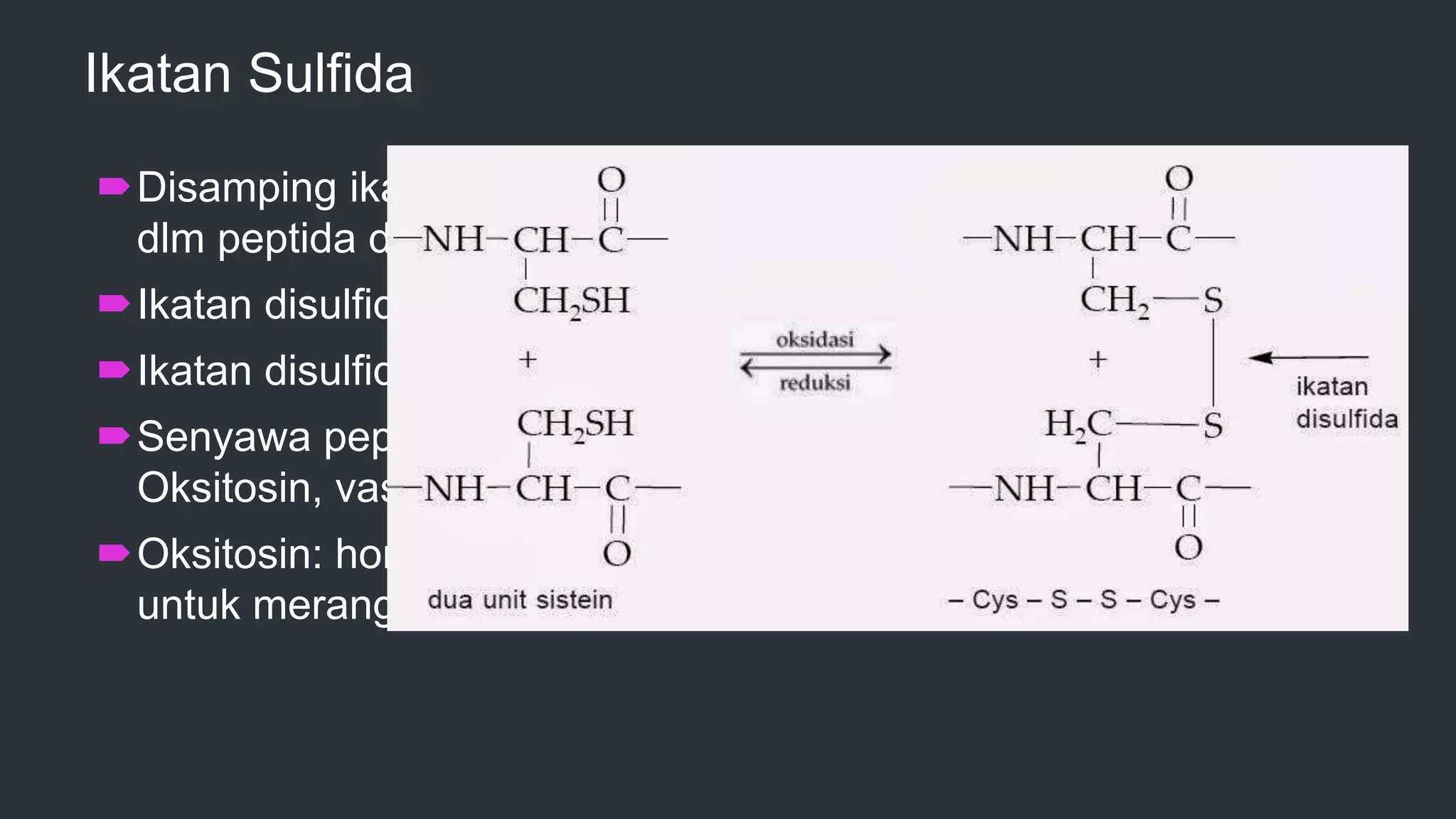 Protein biokimia | PPTX