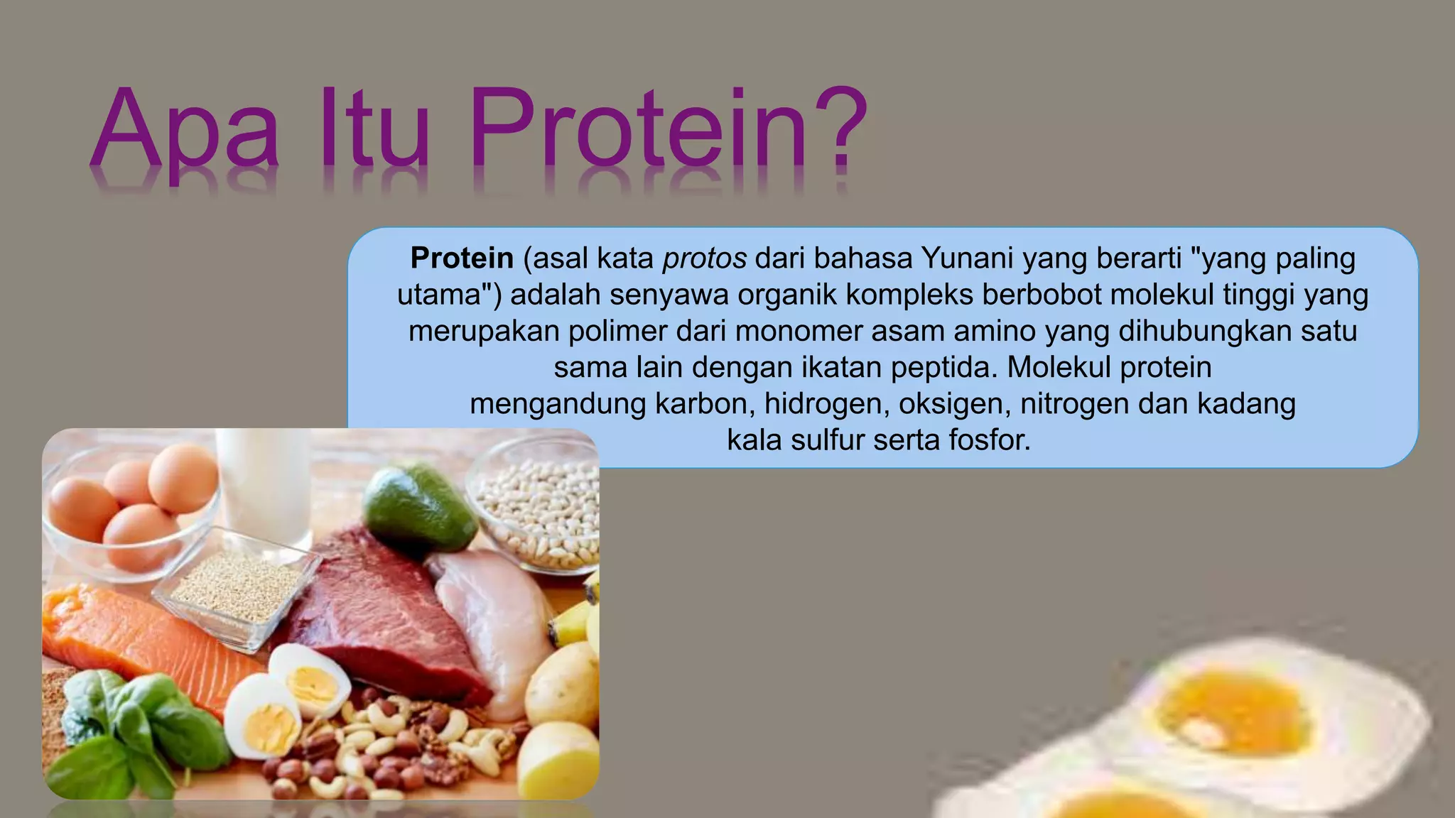 Protein biokimia | PPTX