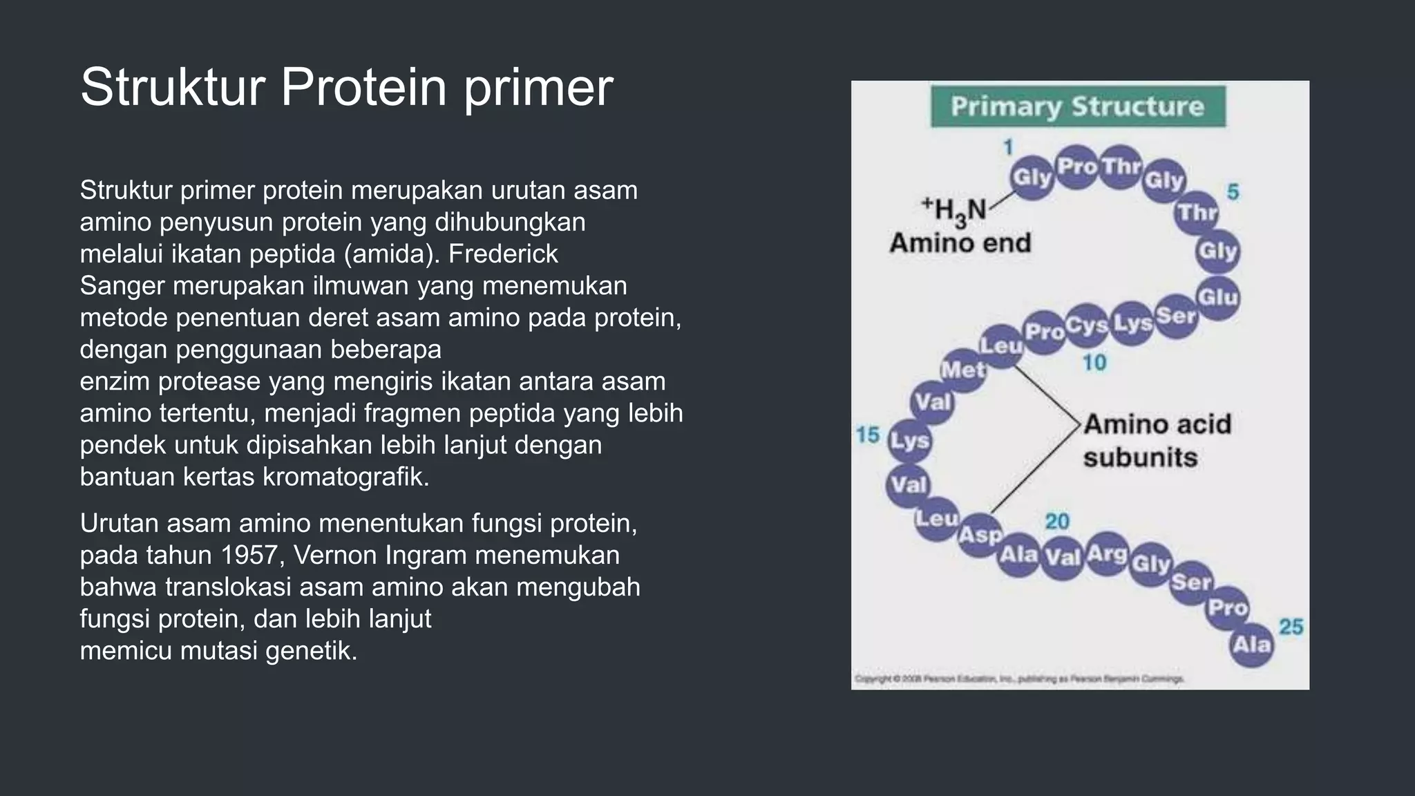 Protein biokimia | PPTX